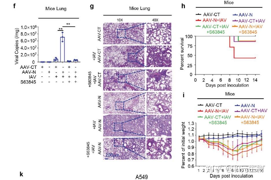 【on-target】AAV感染肺脏 | 血清型·启动子·注射用量 | 一篇就GO了！ - 知乎