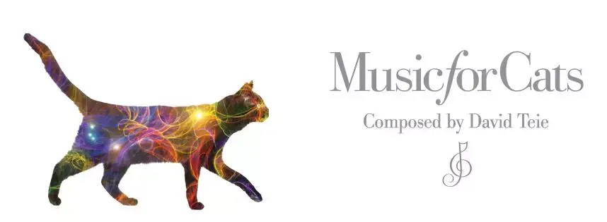 高雅还是土嗨？原来猫咪的音乐品味是这样的…… - 知乎