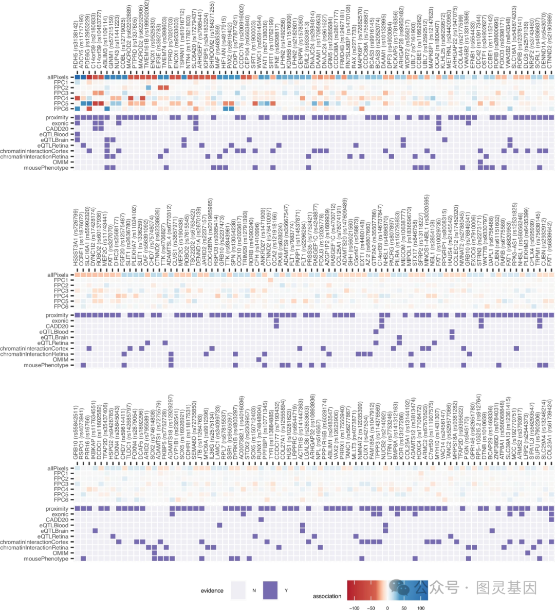 Nat Comm | AI 利用视网膜检测全身性疾病 - 知乎