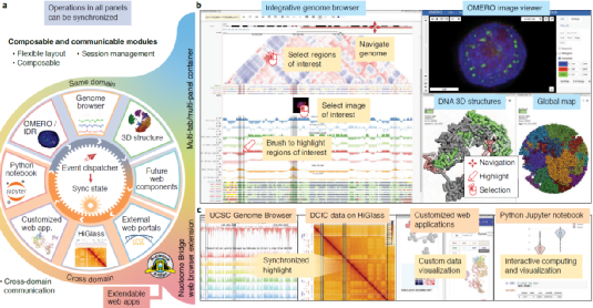 Nature Methods | 自由探索4D核组数据——Nucleome Browser平台 - 知乎