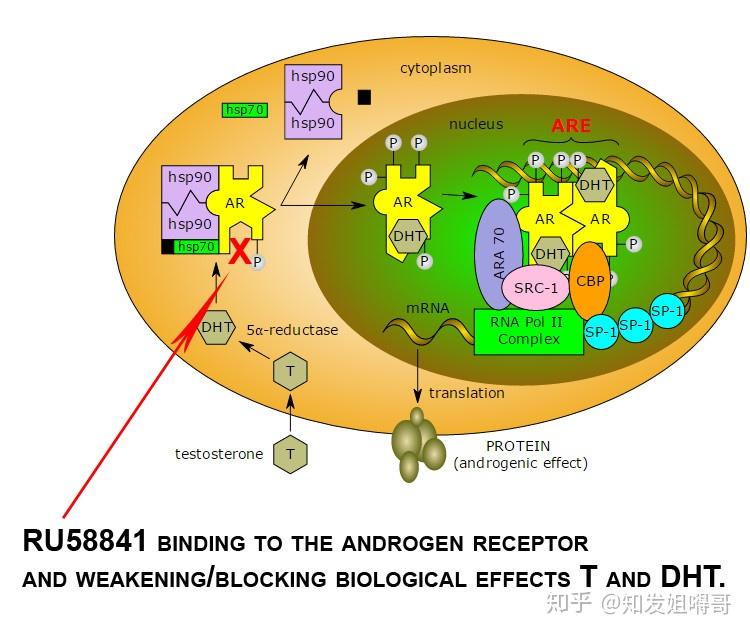 RU58841的功能介绍 - 知乎