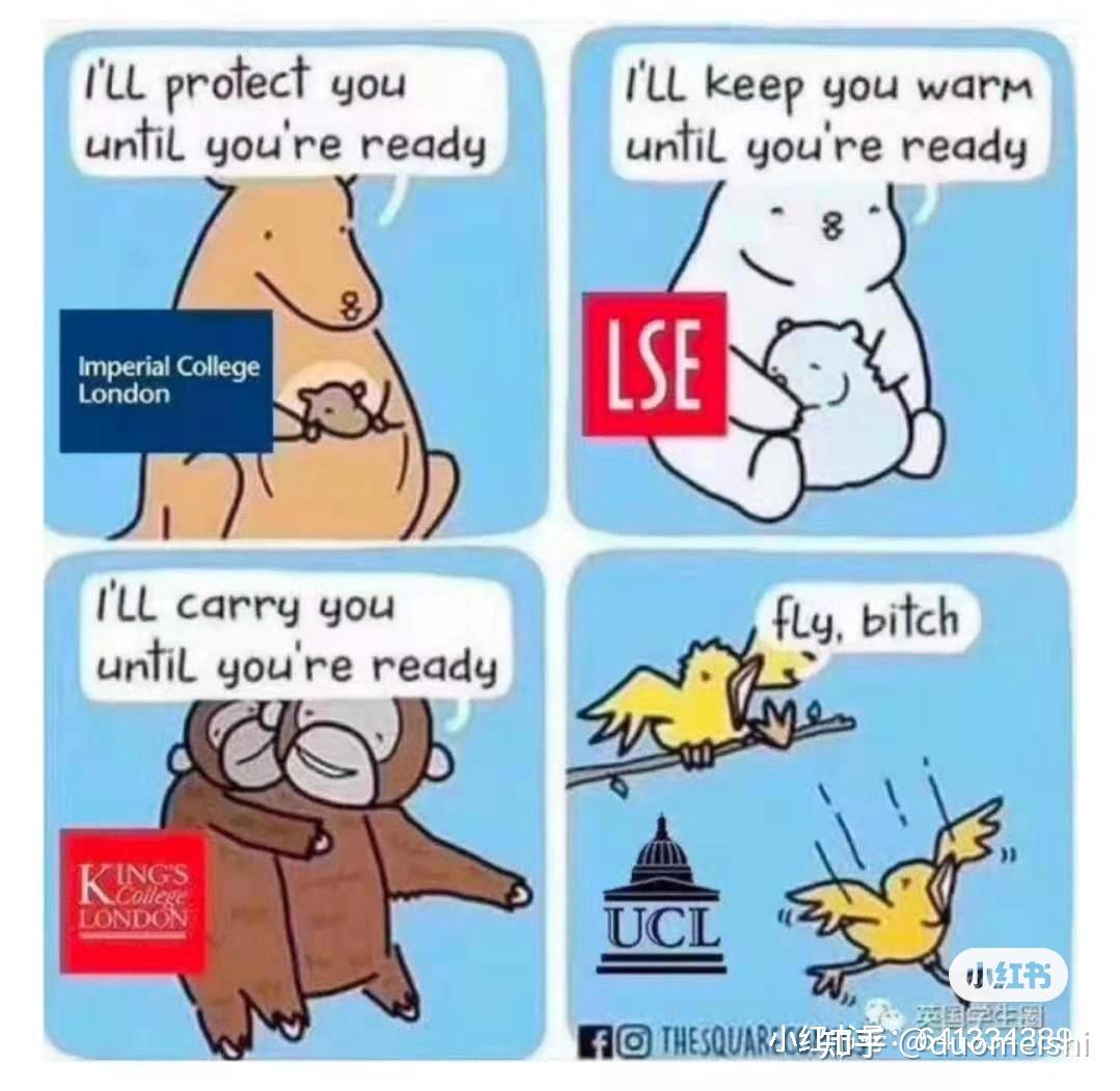 UCL 22fall 申请/offer群 - 知乎