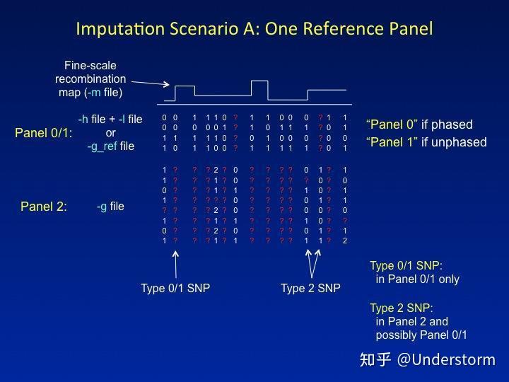 基因型填充(Genotype-Imputation)：从原理到操作 - 知乎