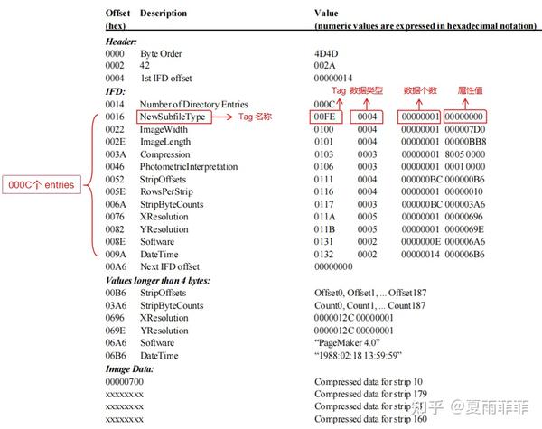 TIFF 文件格式解析 - 知乎