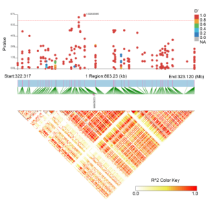 当孟德尔遇上GWAS——高分文章发表利器 - 知乎
