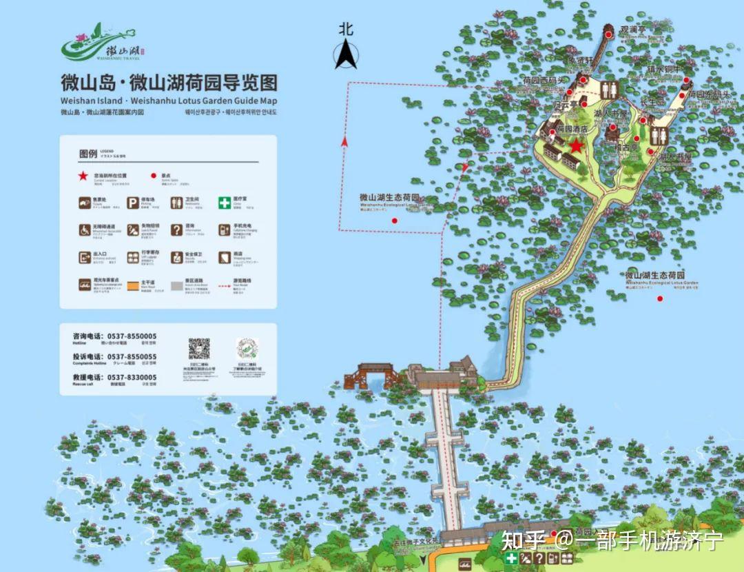 微山湖旅游区丨生态荷园 - 知乎