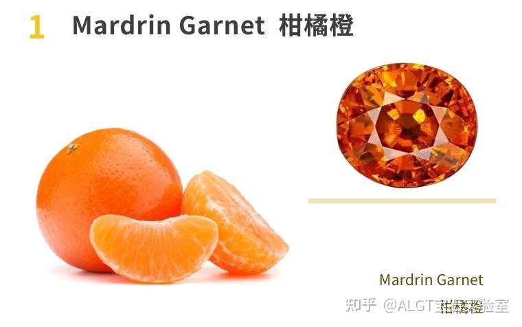 ALGT|一文秒懂ALGT商业名称详解 - 知乎