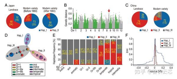 PNAS | GWAS主成分分析鉴定了一个水稻构型综合调控基因 - 知乎