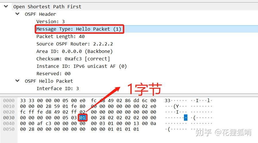 OSPFv3报文格式 - 知乎