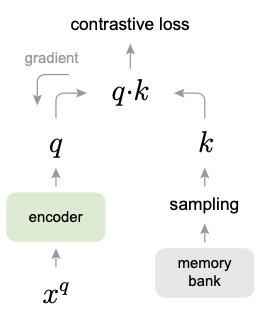 自监督对比学习（Contrastive Learning）综述+代码 - 知乎