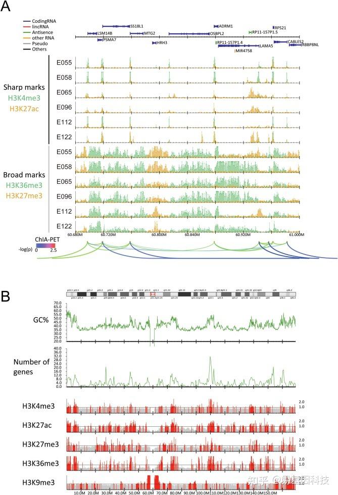 易基因｜ChIP-seq分析方法：实用的工作流程和高级应用 - 深圳市易基因科技 - 博客园