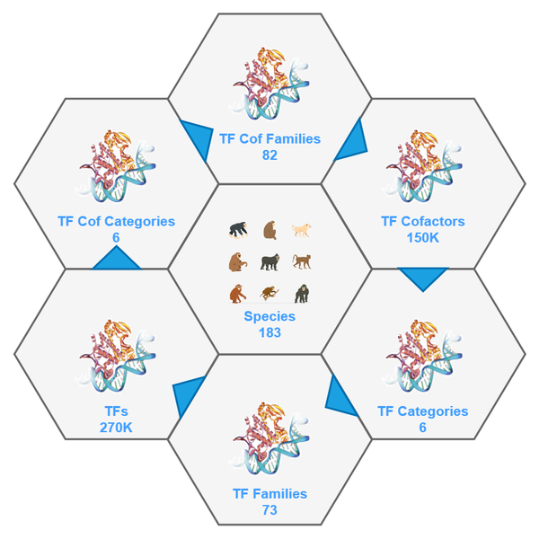 🤩 AnimalTFDB v4.0 | OMG！我最爱的转录因子数据库更新啦！~（附使用指南）（一） - 知乎