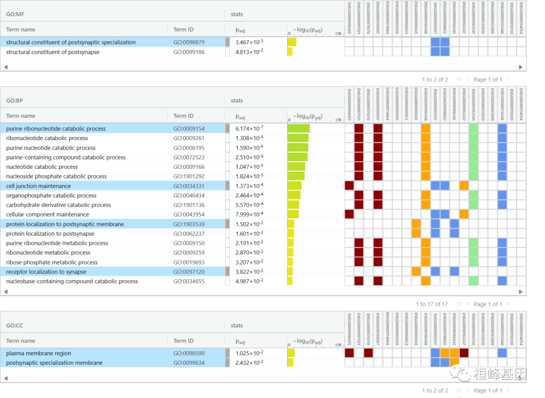 RNA 39. SCI文章中在线基因功能富集分析（g:Profiler） - 知乎