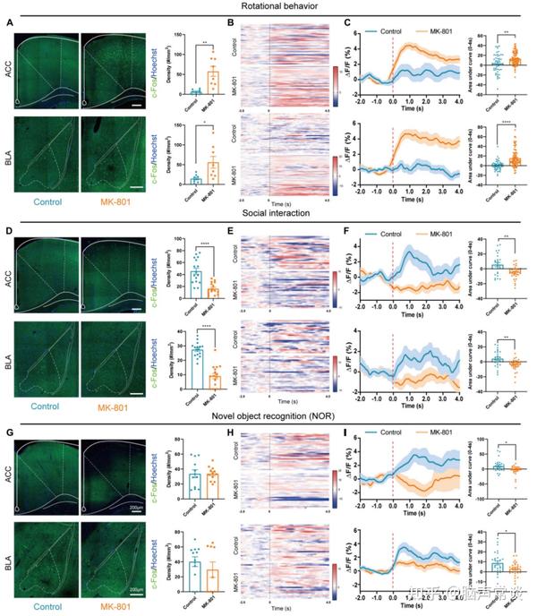 空军军医大学武胜昔与王文挺课题组发文揭示BLA-ACC回路的激活减轻了MK-801诱导的精神分裂样行为缺陷 - 知乎
