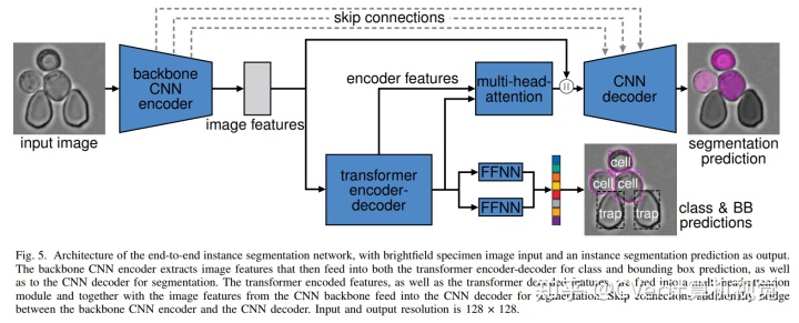 Transformer在实例分割中的应用 - 知乎
