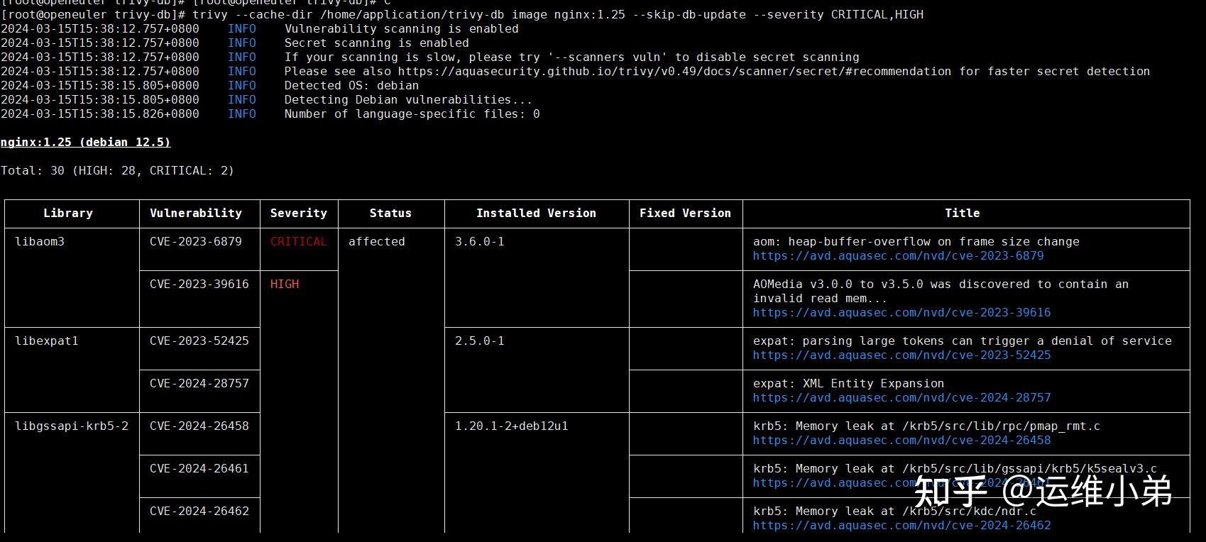 Trivy离线扫描：容器安全实践指南 - 知乎