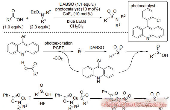 DABSO——一种将彻底变革有机硫化学的试剂 - 知乎