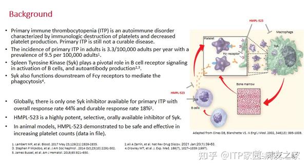 专家讲座 | 梅恒教授：SYK激酶抑制剂作用机制和未来前景 - 知乎