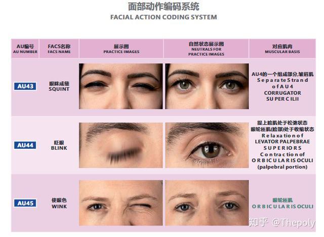 FACS丨面部表情编码系统3 - 知乎