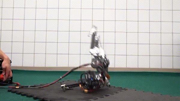 西木科技决定开源双足机器人BRUCE，促进世界的机器人学教育与科学研究发展 - 知乎