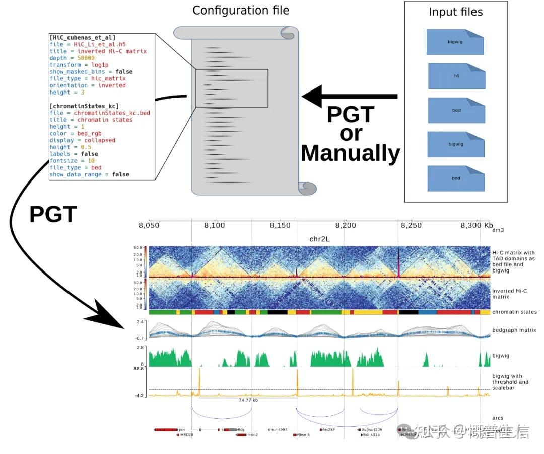 Hi-C数据的可视化工具汇总 - 知乎