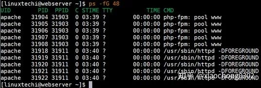 通过20个实例掌握 Linux PS 命令 - 知乎