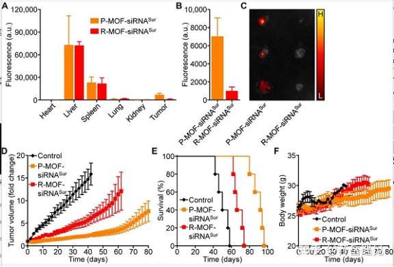血小板细胞膜包裹MOF+载药|血小板膜包裹MOF递送siRNA齐岳生物 - 知乎