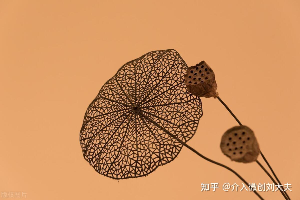 女性卵巢储备功能减退该如何检查评估? 知乎