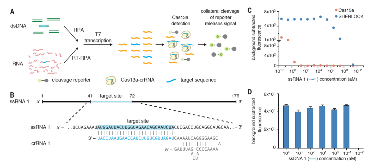 关于C2c2的老故事 - 知乎
