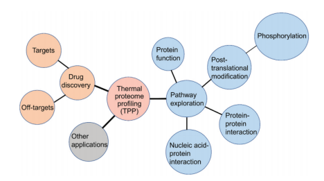 药物靶点研究 | CETSA vs. TPP ，从 “单点验证” 到“全景扫描”的飞跃 - 知乎