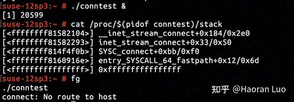 从 Docker 网络流量控制的坑中爬出…… - 知乎