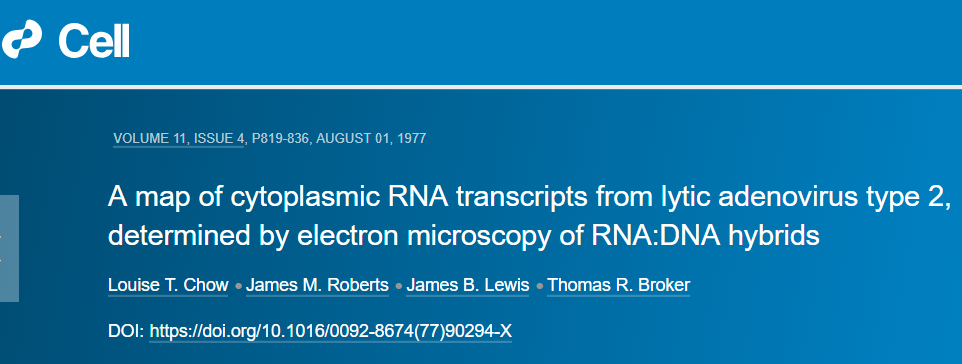 致敬Phillip Sharp和周芷——RNA splicing的发现史 - 知乎