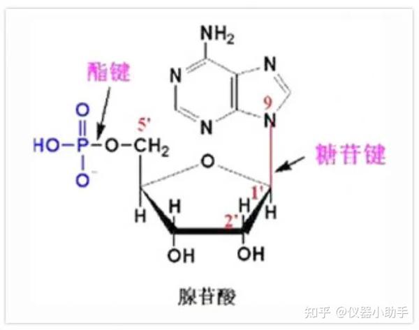 实验过程中核酸降解的预防手段与方法 - 知乎
