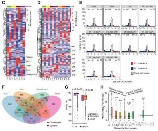 IF=27.5 | PacBio结合Hi-C技术助力揭示单倍型木薯基因组建立 - 知乎