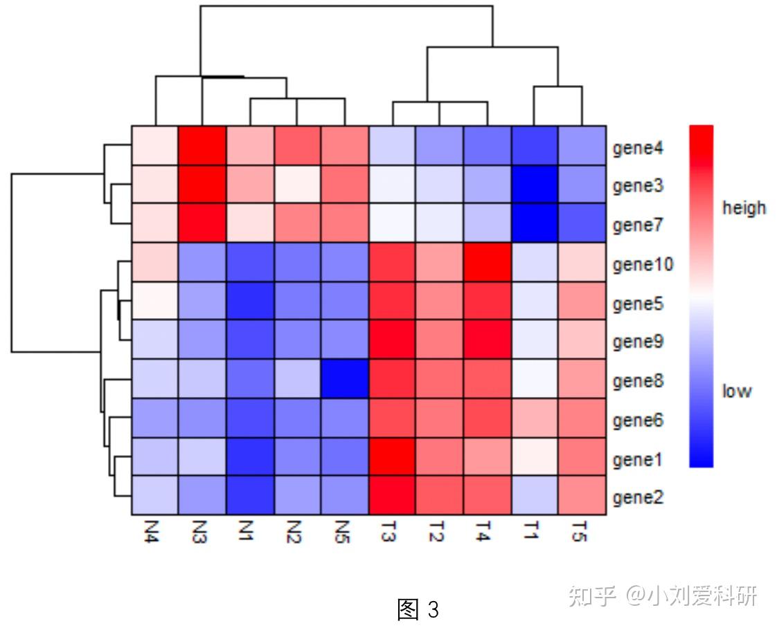 R语言——使用pheatmap包绘制热图过程详解 知乎