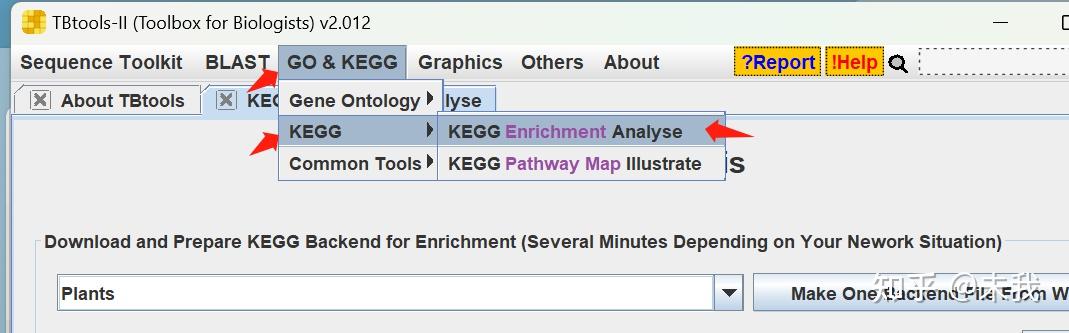 Tbtools-KEGG分析 - 知乎