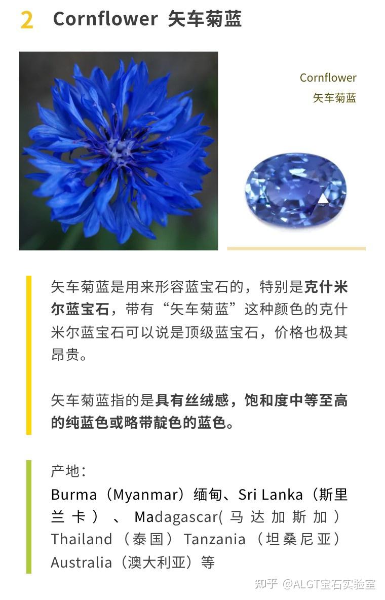 ALGT|一文秒懂ALGT商业名称详解 - 知乎