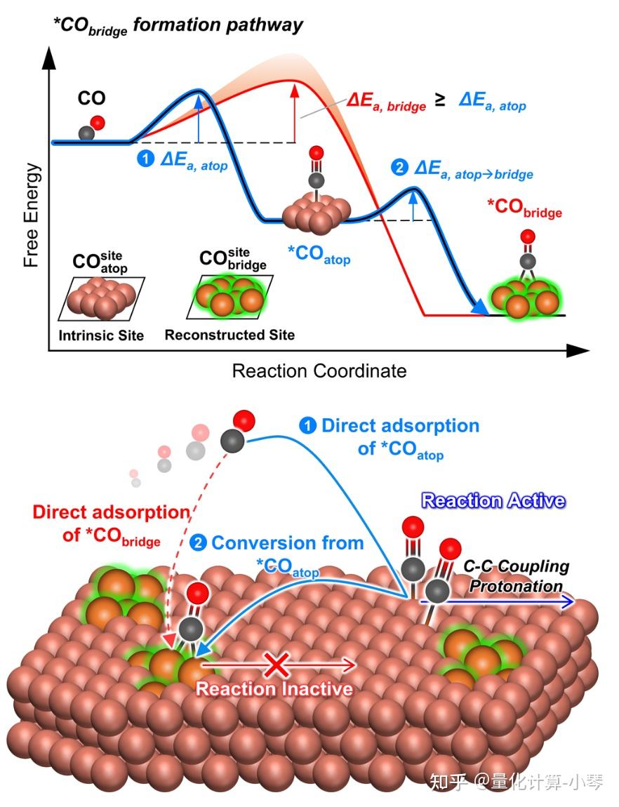 仅隔两天，继Nat. Catal再发JACS：电化学CO2或CO还原过程中Cu自发重构 - 知乎