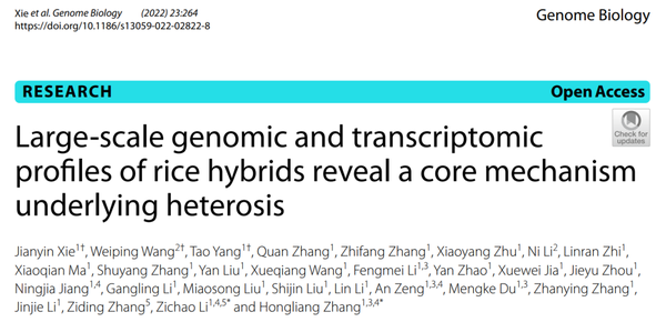 Genome Biol.︱李自超/张洪亮/王伟平团队合作揭示杂种优势核心机制 - 知乎