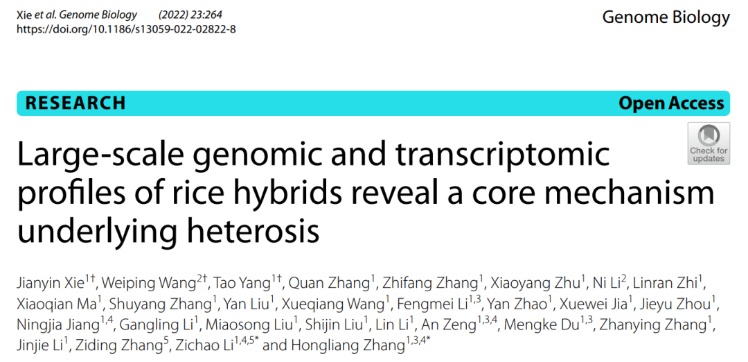 Genome Biol.︱李自超/张洪亮/王伟平团队合作揭示杂种优势核心机制 - 知乎