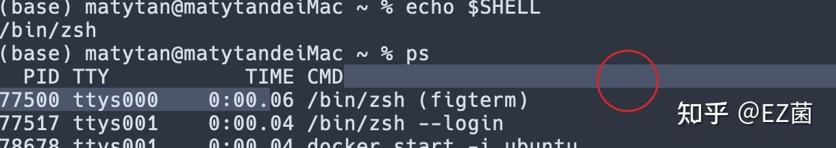 优雅简洁的zim美化你的zsh终端，媲美甚至超越 ohmyzsh - 知乎