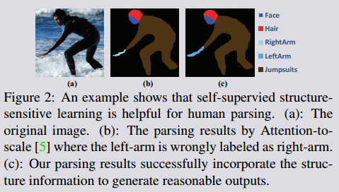Look into Person: Self-supervised Structure-sensitive Learning and A ...
