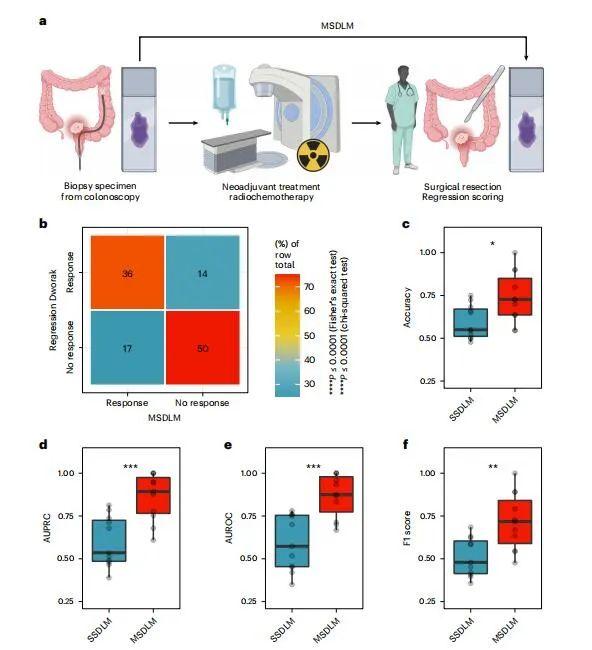 Nat Med | AI融合多种染色图像预测结直肠癌预后和治疗反应 - 知乎