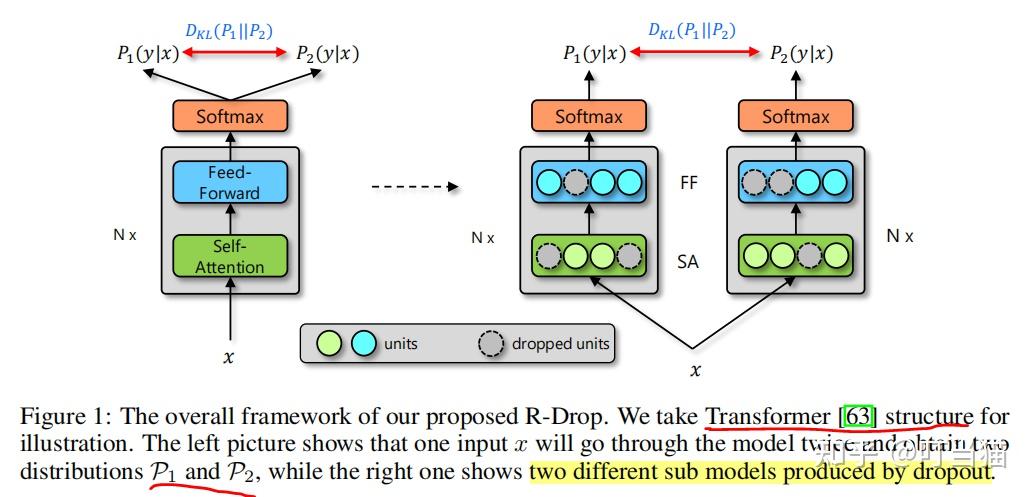【DL&NLP】浅谈对比学习之R-Drop - 知乎