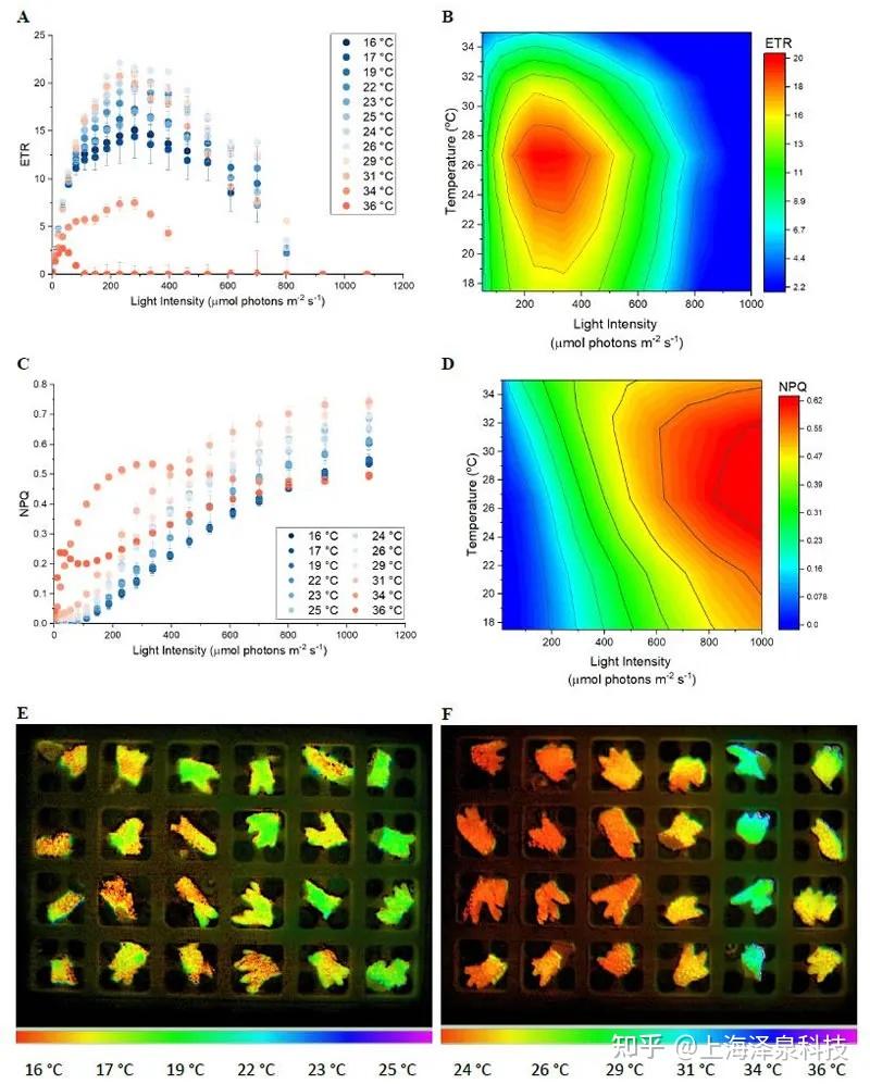 利用PhenoPlate研究光合作用与光强和温度之间的关系 - 知乎