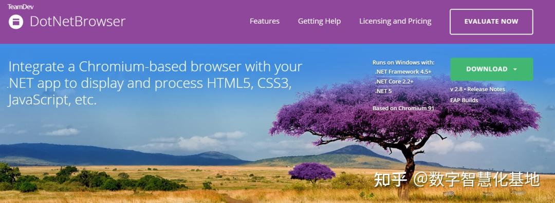 9种在wpf/winForm等客户端集成Web网页方案详解，全网最全，快收藏！！ - 知乎