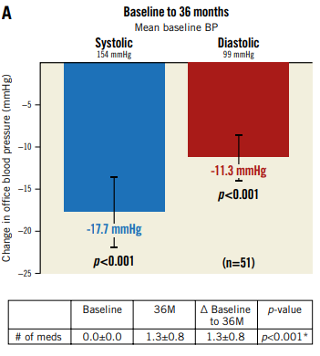 RDN治疗高血压，何去何从？郭艺芳教授：未来可期 - 知乎