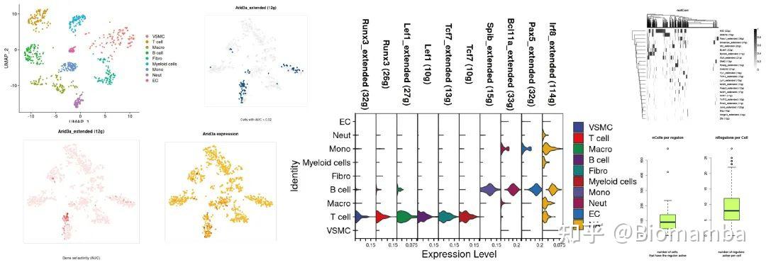 R+Python组合拳可能是分析SCENIC最好的方式 - 知乎