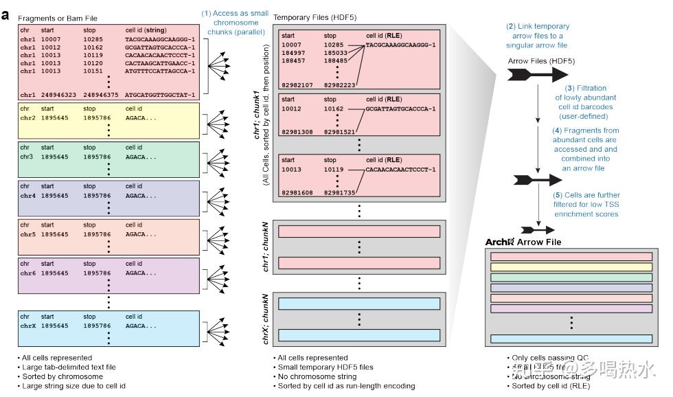 ArchR(二)：为什么和是什么？我们为什么使用ArchR? ArchR的数据结构和处理过程是什么样的？ - 知乎