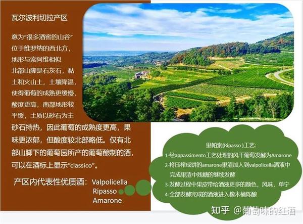 中喜酒业：嬉阁丨领略瓦尔波利切拉产区的风土，福泰堡品鉴会圆满结束 - 知乎